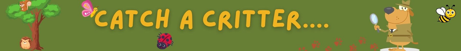 Catch a Critter - Bingley Fencing Summer Nature Competition