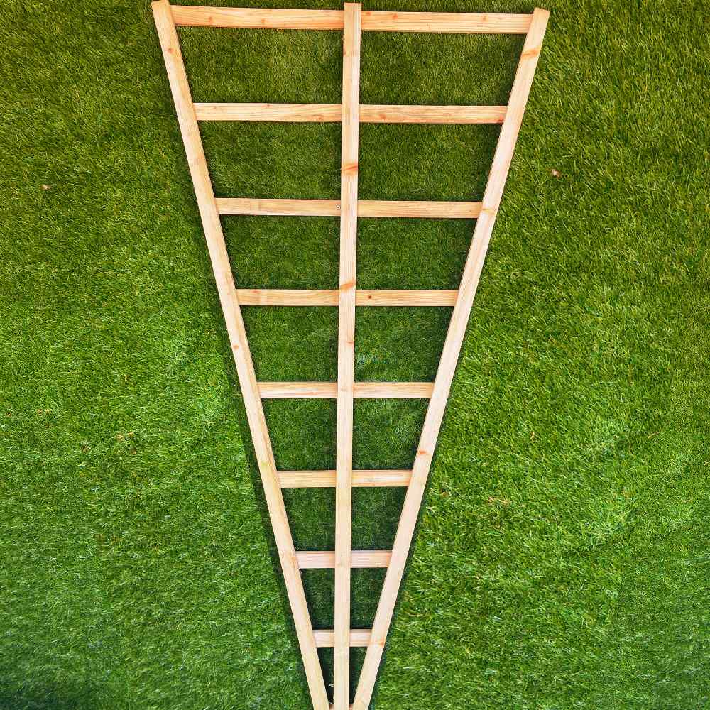 Fan Trellis - Decorative Plant Support for Gardens – Bingley Fencing