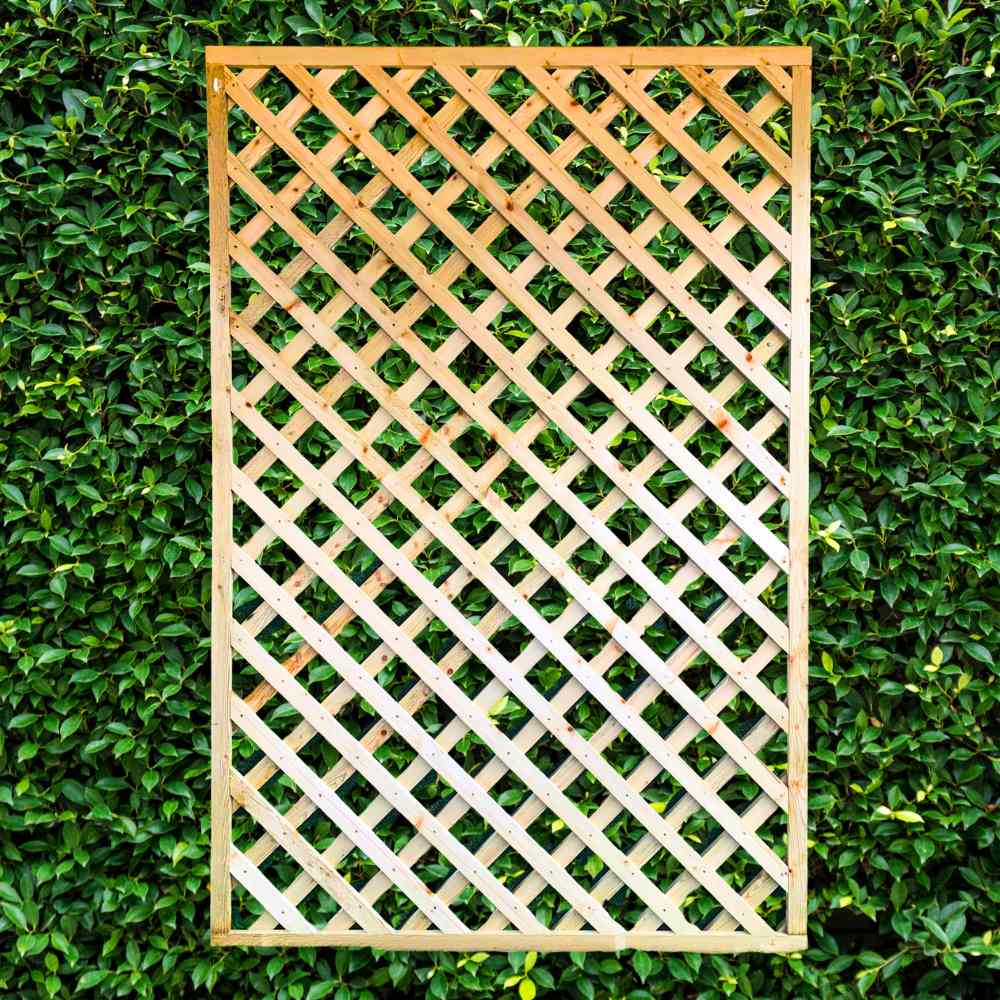Diamond Trellis Made to any size!