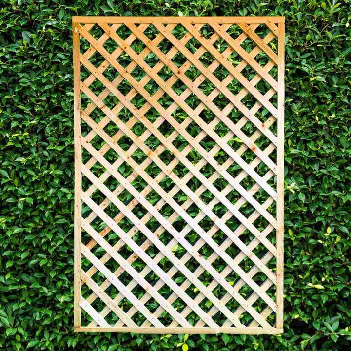 Diamond Trellis Made to any size!